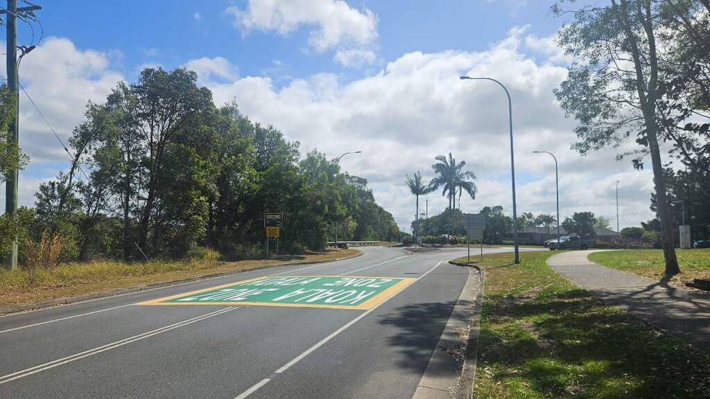 Council expands Koala Zones to reduce road strikes | Tweed Shire Council